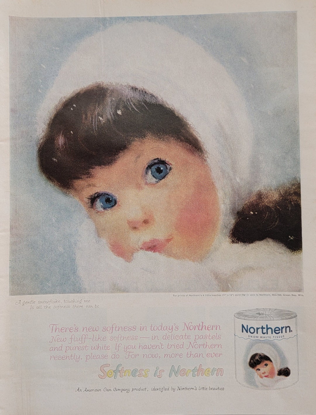 1961 Northern Toilet Tissue Vintage Advertisement Bathroom Wall Art ...