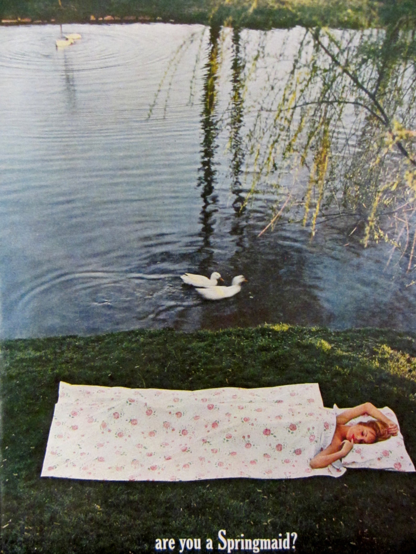 1960 Springmaid Fashion Sheets Vintage Advertisement Bedroom | Etsy