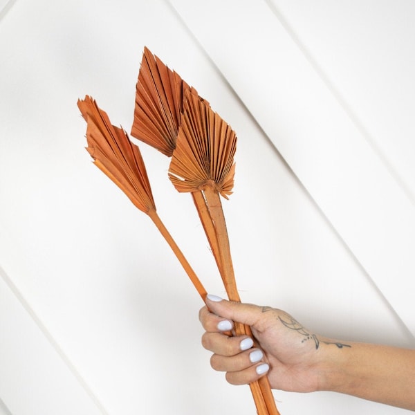 Dried Palm Spears - Etsy