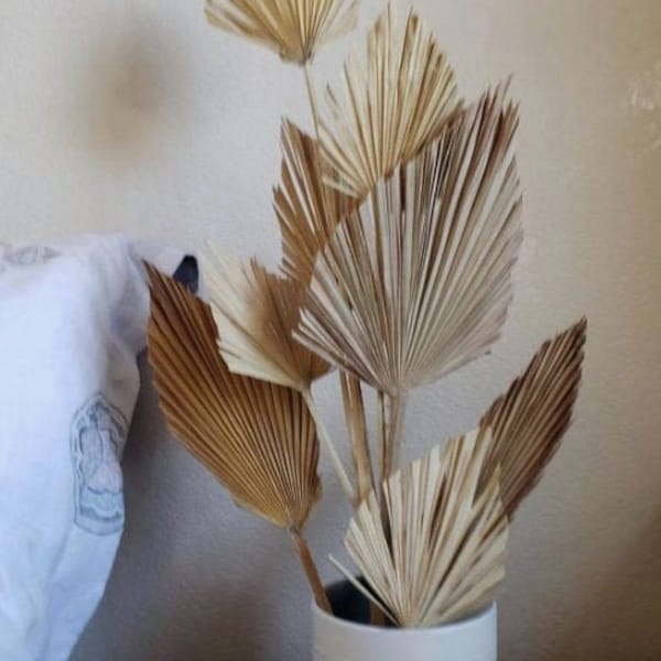 Palm Spears - Etsy
