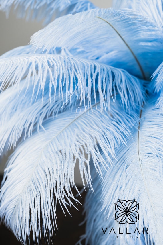 10 Pc DUSTY BLUE OSTRICH Feathers 12 14 dusty Feathers baby Blue Feather pastal Feathers ostrich Feather Glam sky Blue Ostrich Centerpiece Etsy UK