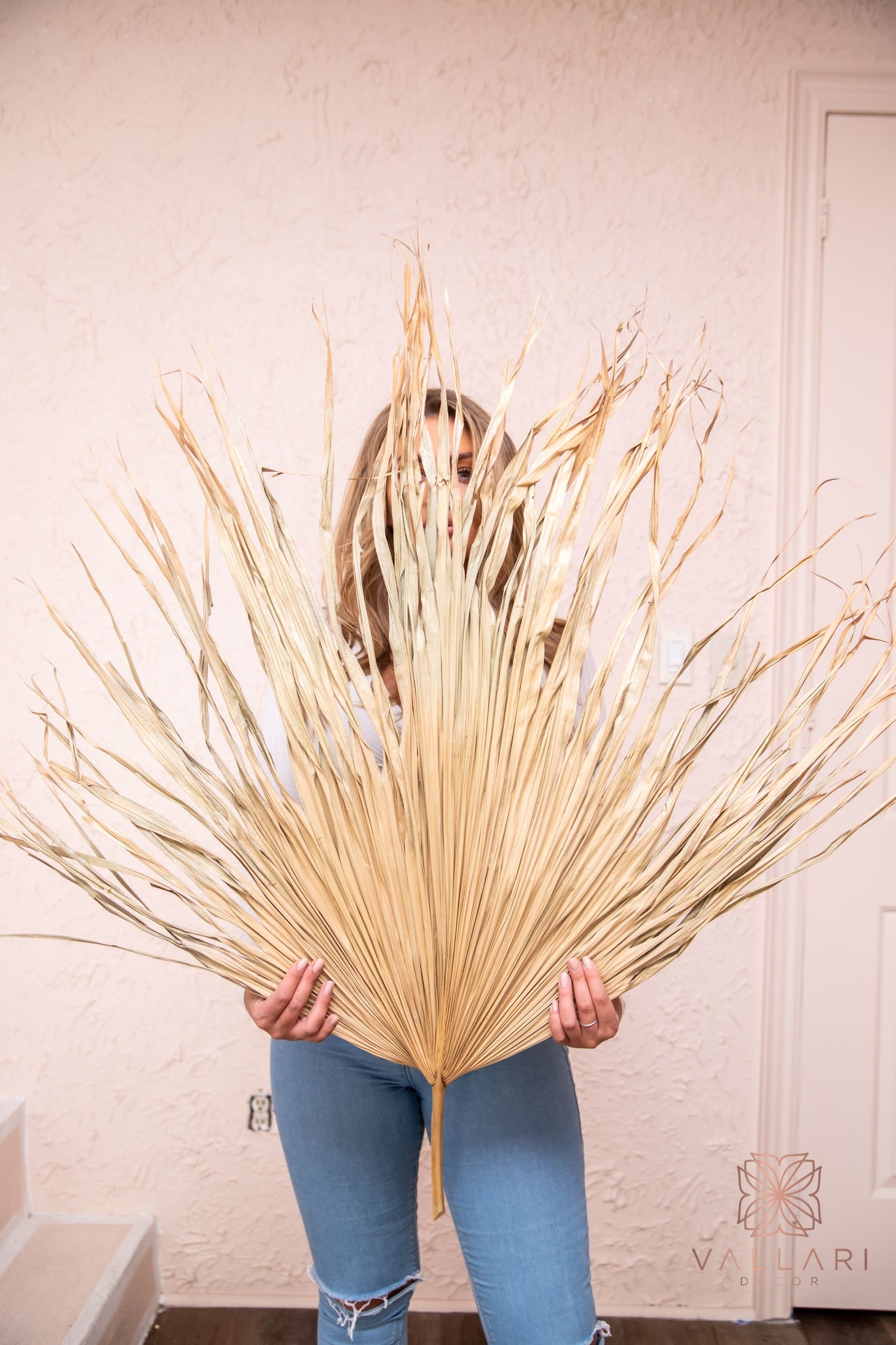 Jumbo Sun Palm Wispy Natural Leaf/dried Palm/jumbo Dried Floral/boho ...
