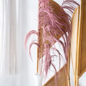 5FT-3 Pc RED UVA Stalk/pampas/natural Stalk/natural Branches/rustic ...