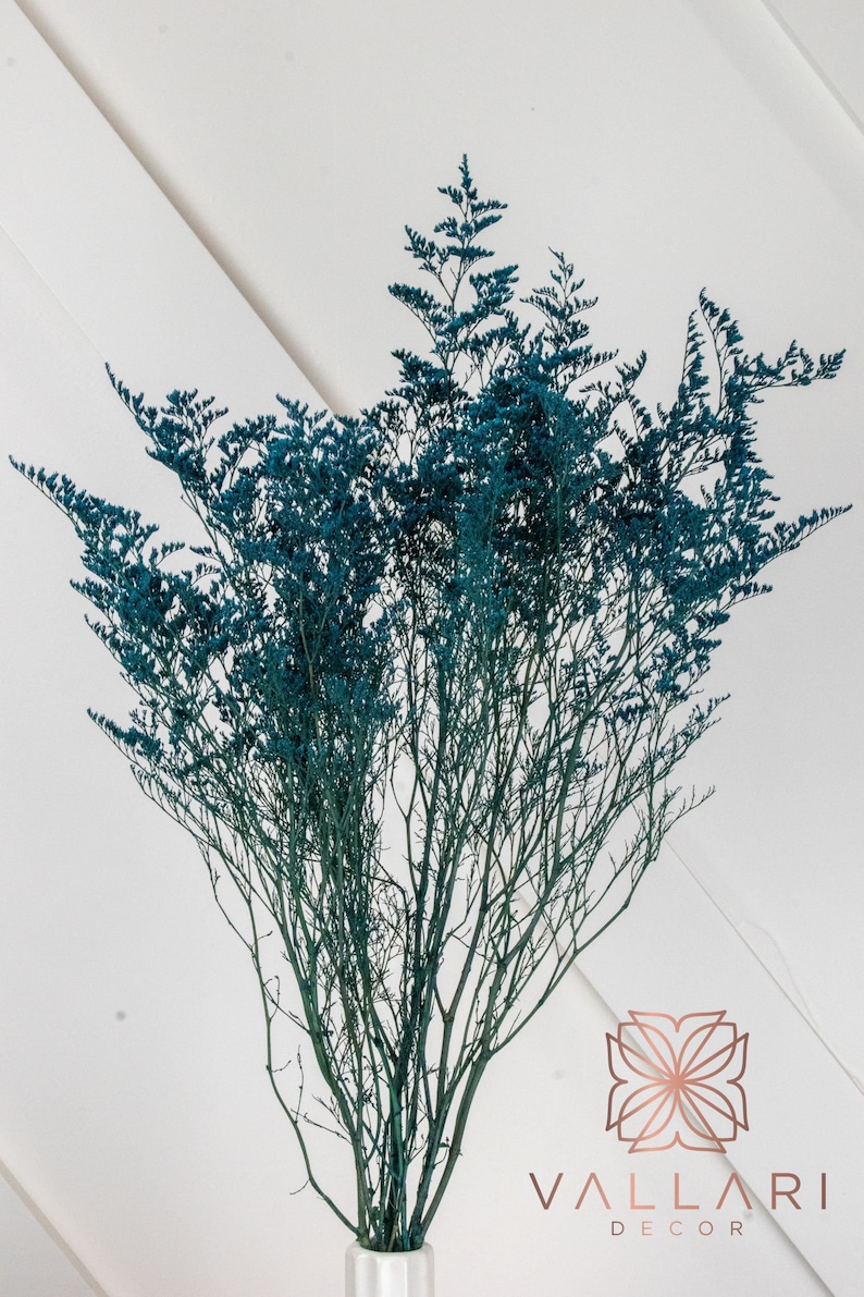 Dark Blue Preserved Caspia/baby Breaths/fall/thanksgiving/table Setting ...
