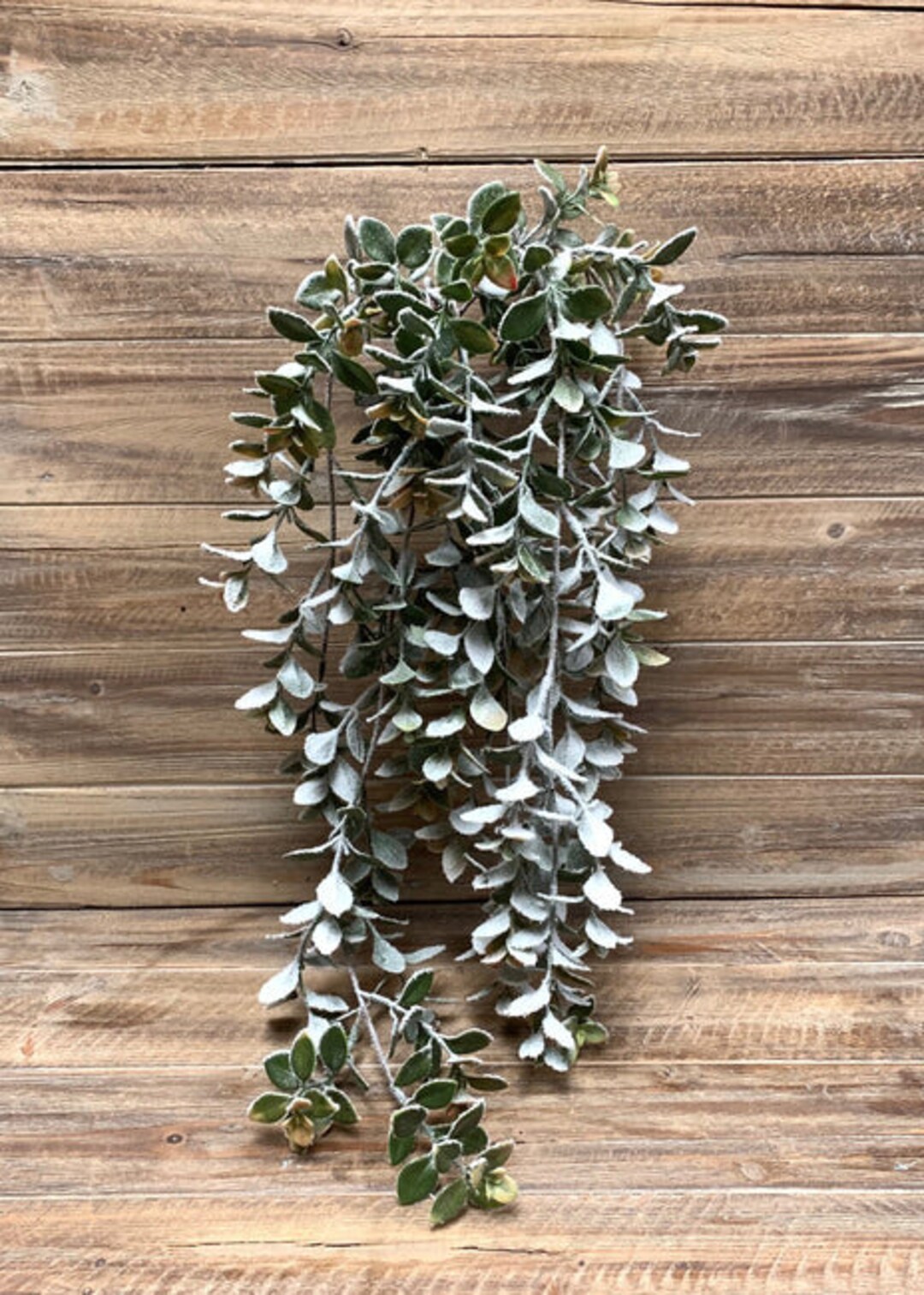 29" Snowy Green Agalia Hanging Bush/christmas Decor/christmas Decor ...