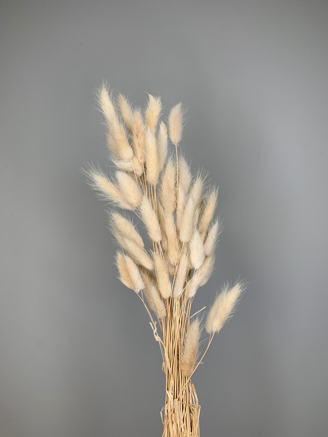 50 Piece IVORY BUNNY TAILS/ Pampas Bundle/home Decor/ Rustic Wedding ...