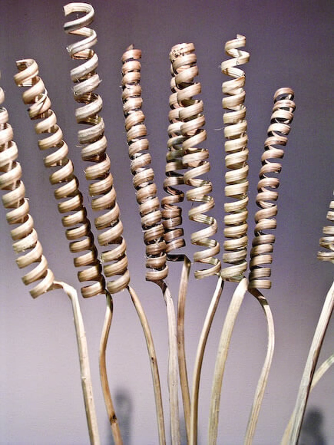 30 Natural Cane Spring/curly Twigs/branches/centerpiece - Etsy Canada