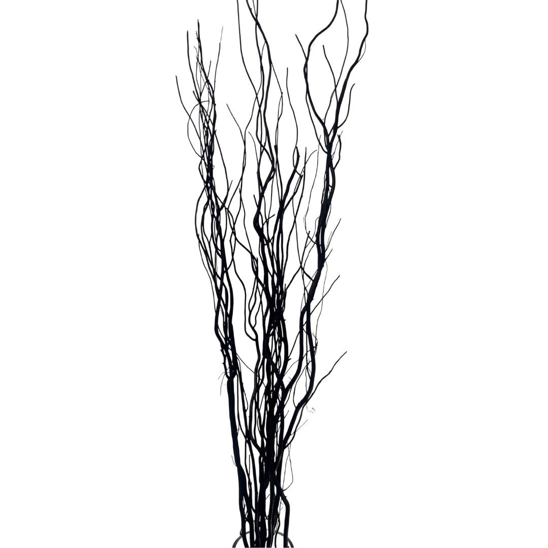 Black Willow Natural Branch/curly Twigs/branches/centerpiece Decor ...