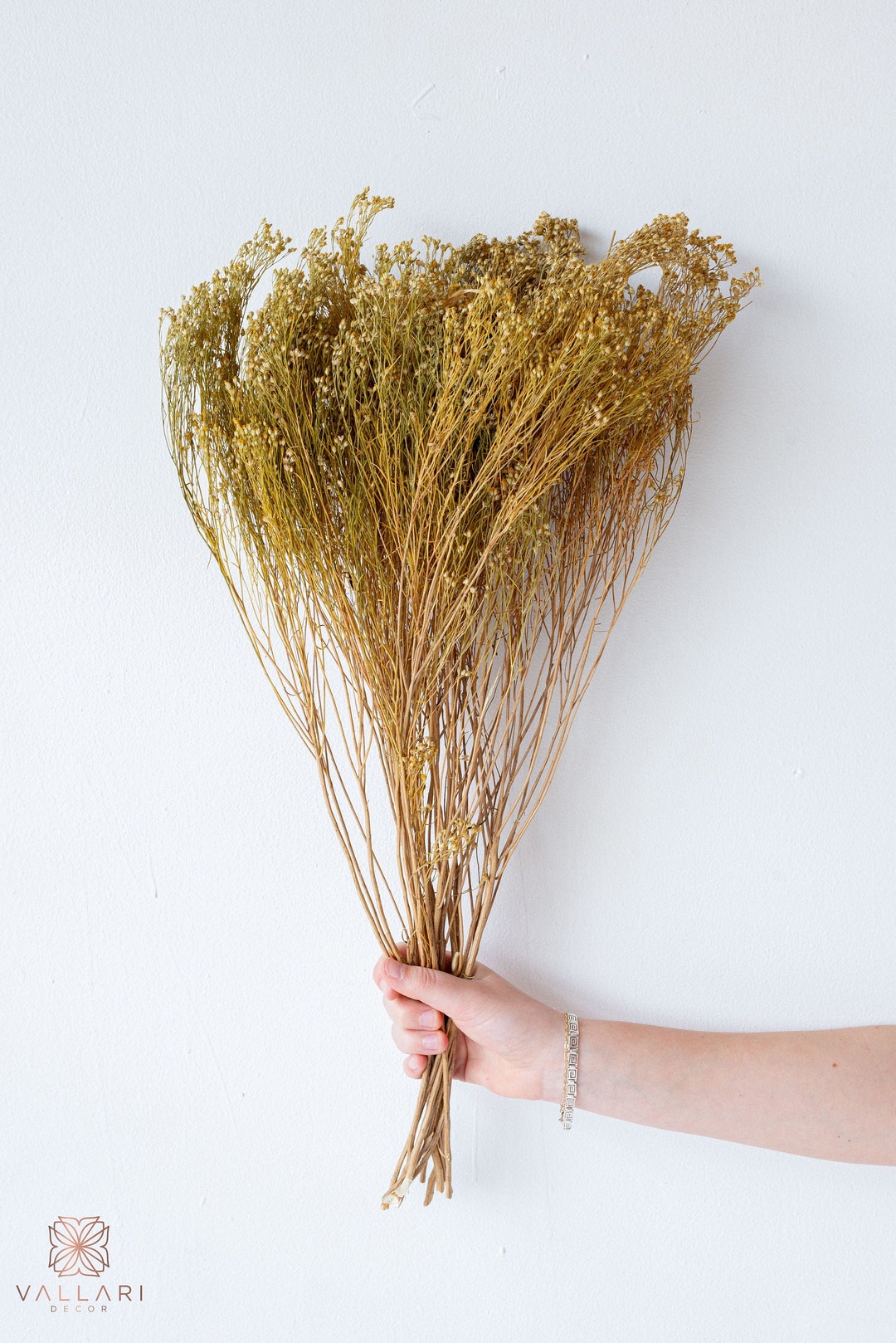 17" Dried Natural Broom Bloom/fall/thanksgiving/table Setting/home ...