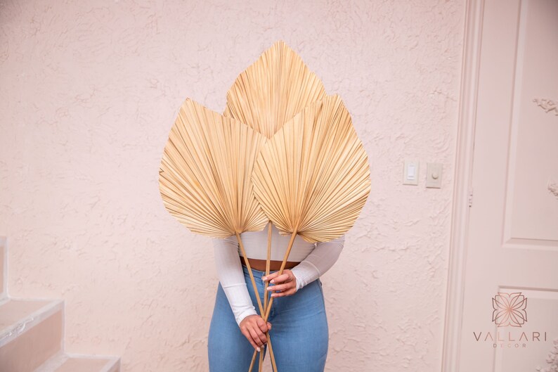 3pc 40 Natural PALM Spears/ivory Palm/red Palm/brown | Etsy