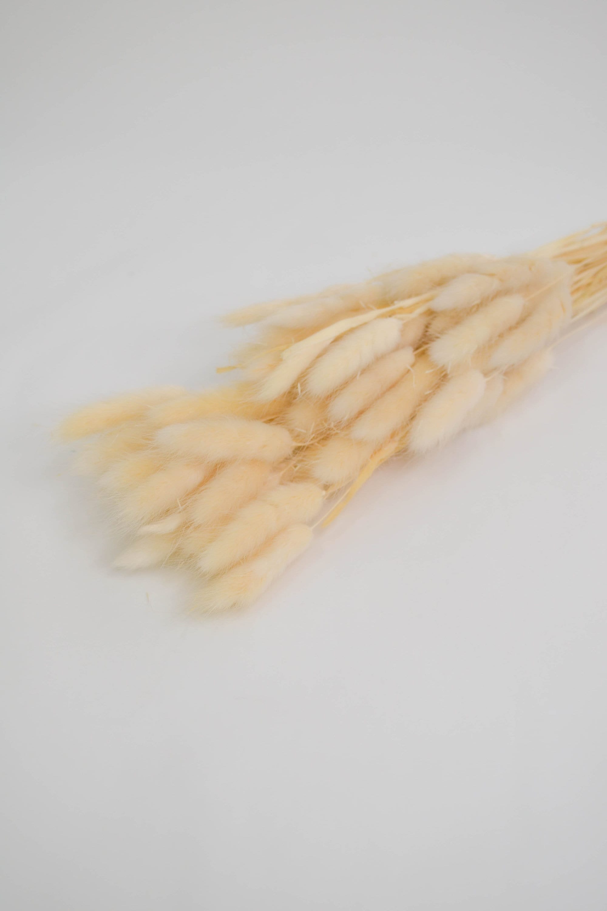 50 Piece IVORY BUNNY TAILS/ Pampas Bundle/home Decor/ Rustic - Etsy Canada