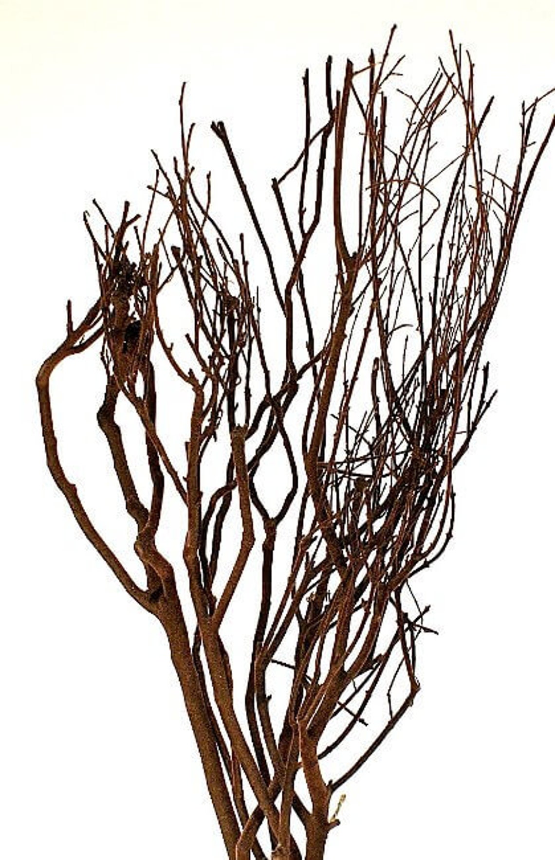 31 Velvet Tea Tree Sticks/3pc/twigs/branches/centerpiece - Etsy