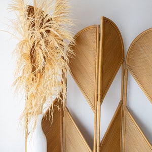 5FT-3 Pc RED UVA Stalk/pampas/natural Stalk/natural Branches/rustic ...