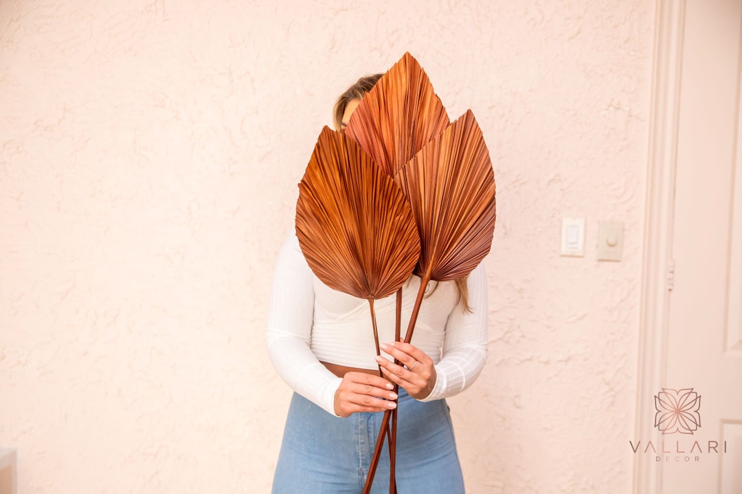 3pc 40 Light Brown Anahaw/ivory Palm/red Palm/brown Palm/home Decor ...