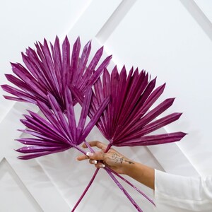 SUN PALM 1-6pc - 10-16"dried SUN Natural Palm Spears/ Natural/gold ...