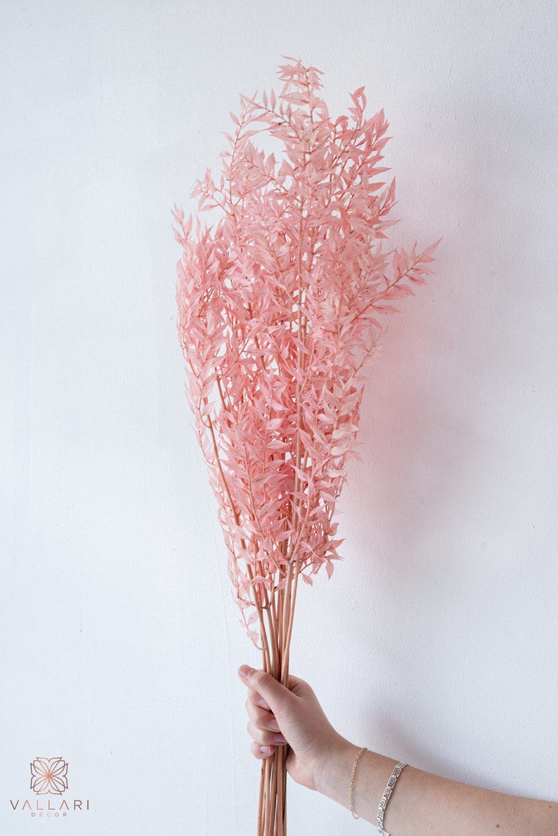 30 Mini BLEACHED RUSCUS VASE Decor/filler Decor/faux | Etsy