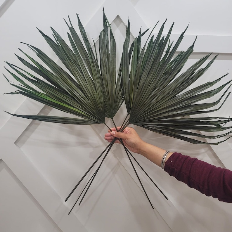 1.5ft Wispy GREEN SUN Palm Leaf/dried Palm/jumbo Dried Floral/boho Home ...