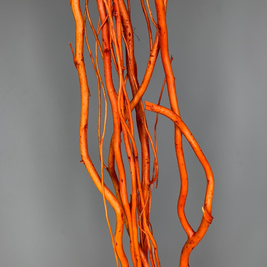 4FT Orange Willow Natural Branch/curly Twigs/branches/centerpiece Decor ...