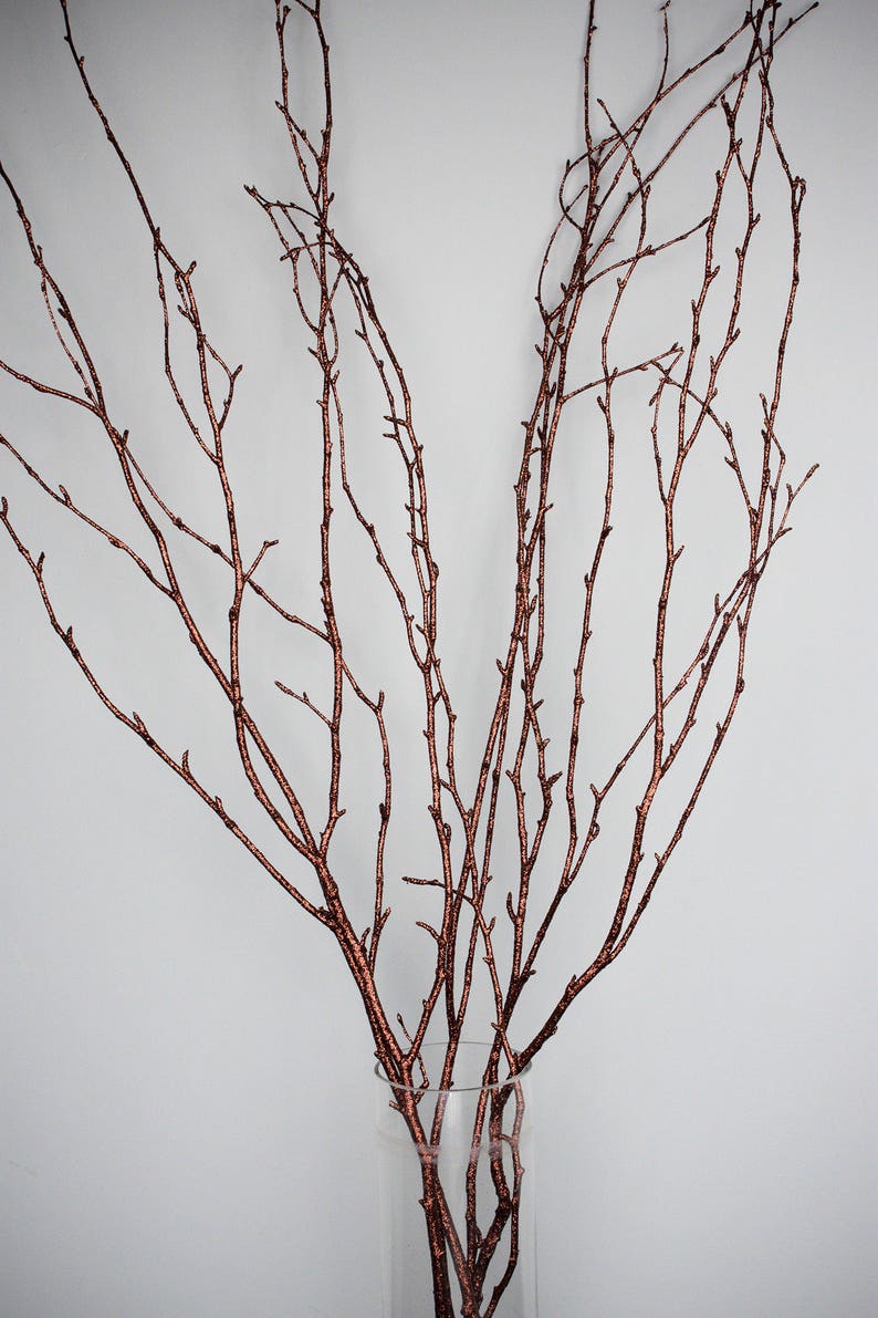 BROWN Glitter/curly Twigs/branches/centerpiece Decor/ Winter - Etsy