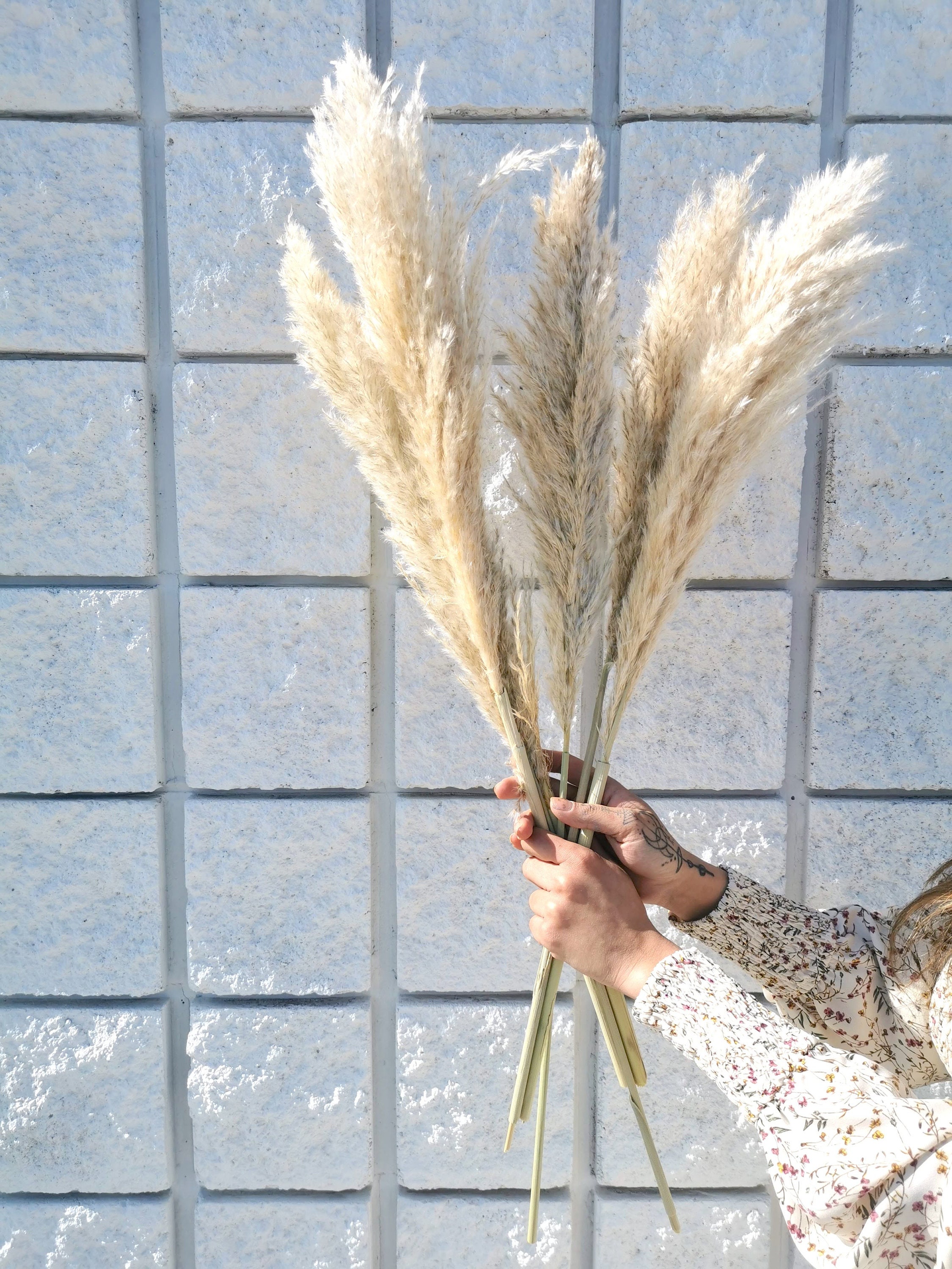 1 Piece 30 Golden Ivory or Cream Pampas | Etsy