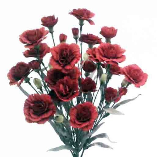 Red Carnation Centerpiece - Etsy