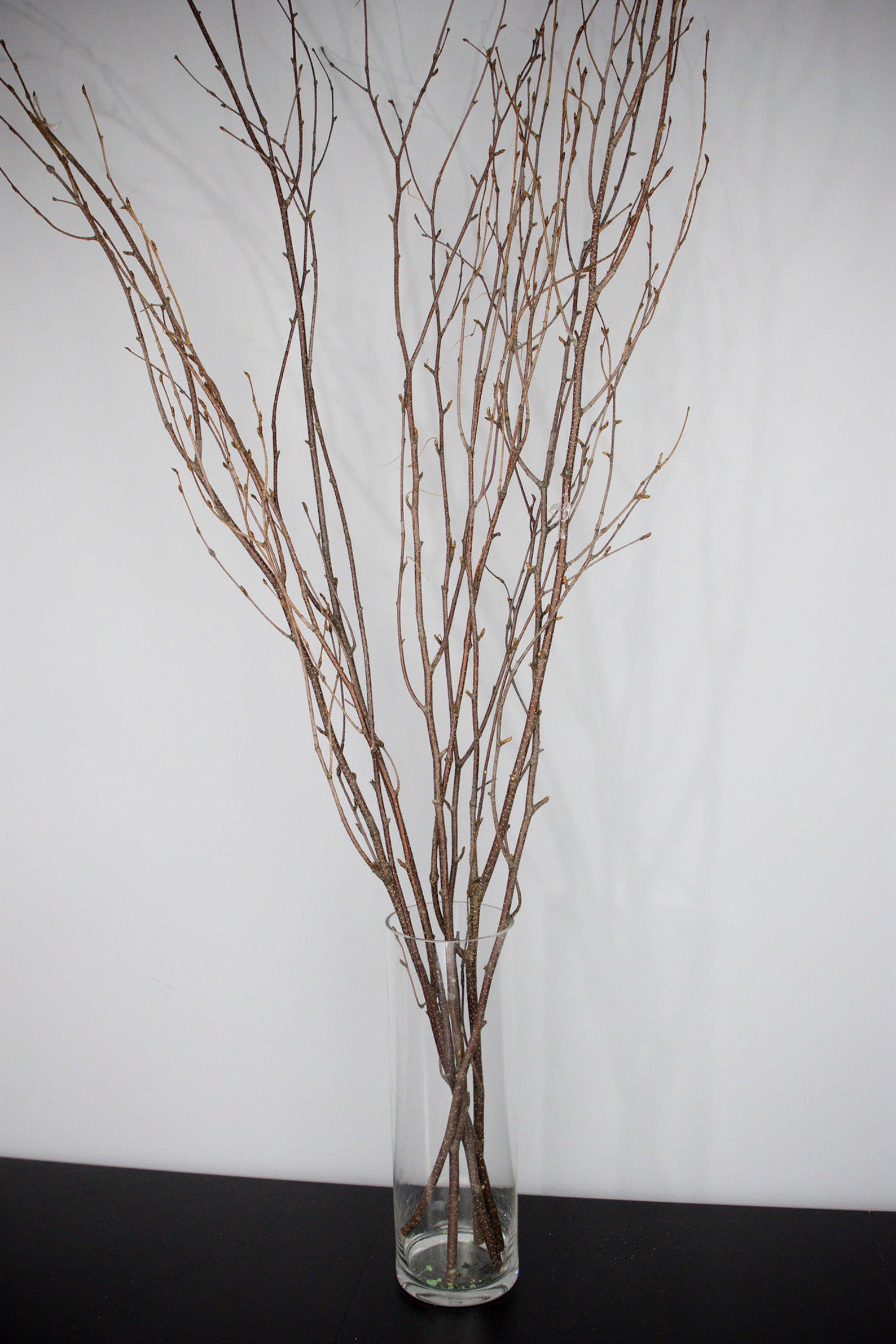 Natural Branch/curly Twigs/branches/centerpiece Decor/ Winter - Etsy Canada