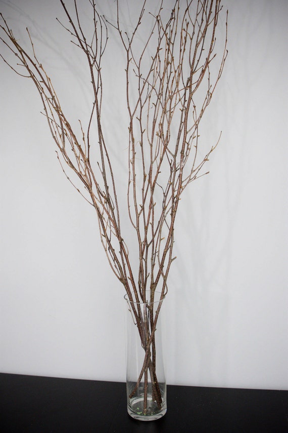 Natural Branch/curly Twigs/branches/centerpiece Decor/ Winter | Etsy Canada