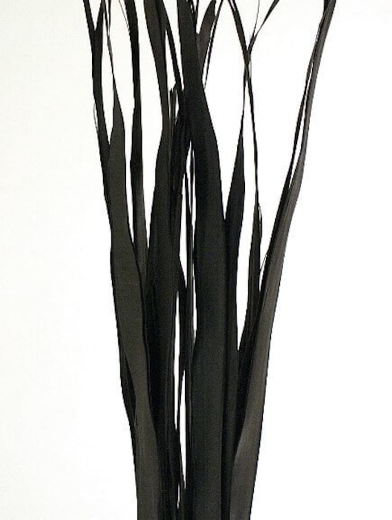 40 Black Cacho Palm Grass/branches/centerpiece Decor/ | Etsy