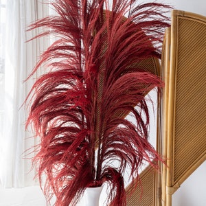 5FT-3 Pc RED UVA Stalk/pampas/natural Stalk/natural Branches/rustic ...