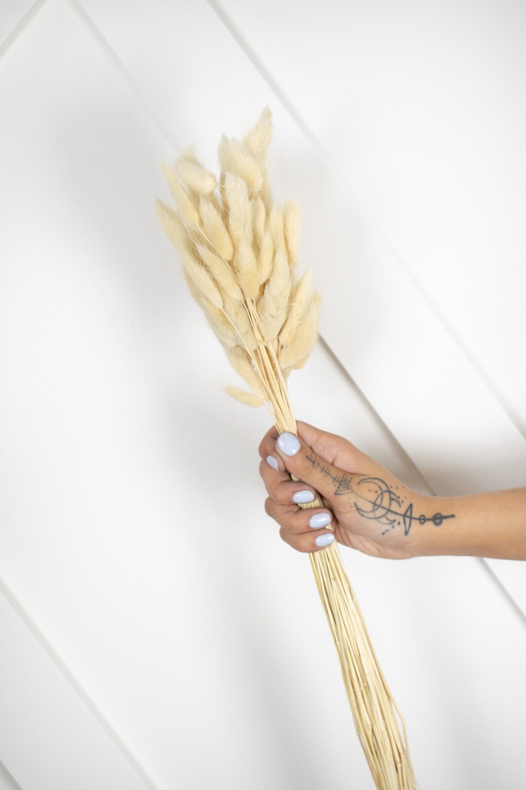 50 Piece IVORY BUNNY TAILS/ Pampas Bundle/home Decor/ Rustic - Etsy Canada