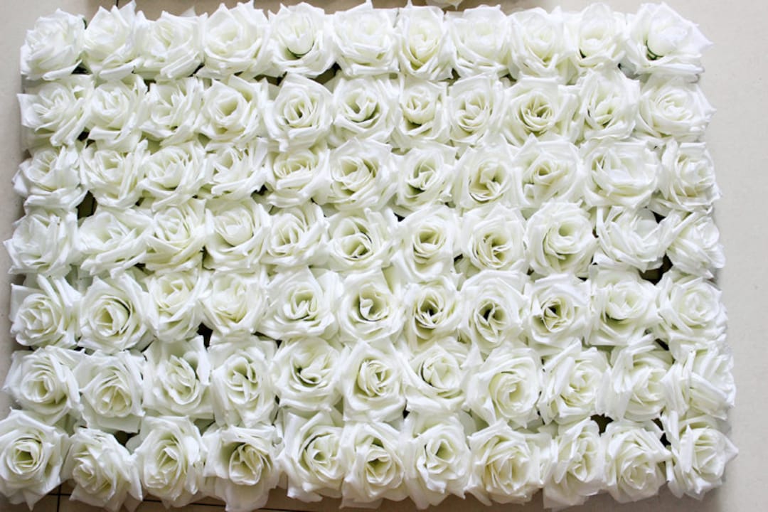 Rose Flower Backdrop/ Backdrop Wedding/ Backdrop Party/ Rose Flowers ...
