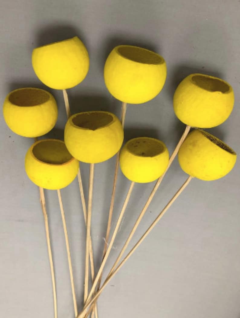 Bell Cups Royal Blue Wicker Balls on Sticks 8pc Decorative | Etsy