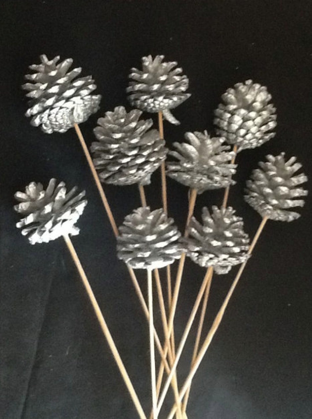 White & Silver Glitter Pine Cones on Sticks 8pc/cones/pine Cones/rustic ...