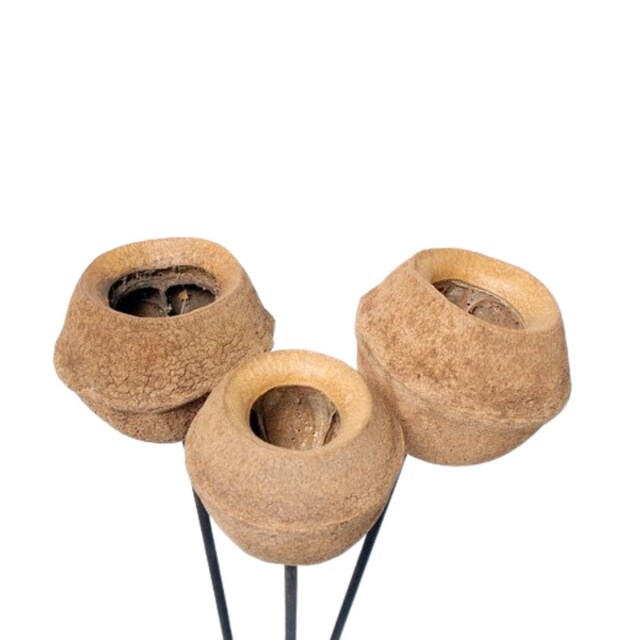 VallariDecor - Etsy Canada