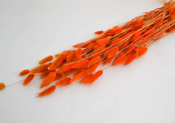 2oz 150pc Piece ORANGE BUNNY TAILS 26/pampas - Etsy