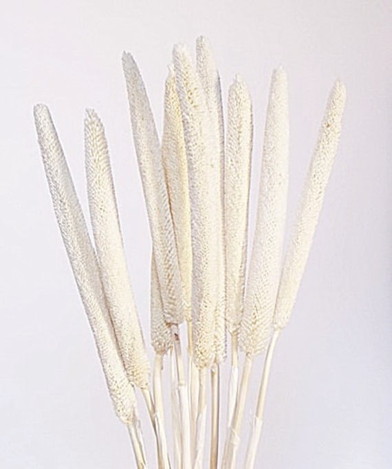 28 White Babala on Sticks/branches/centerpiece Decor/ | Etsy