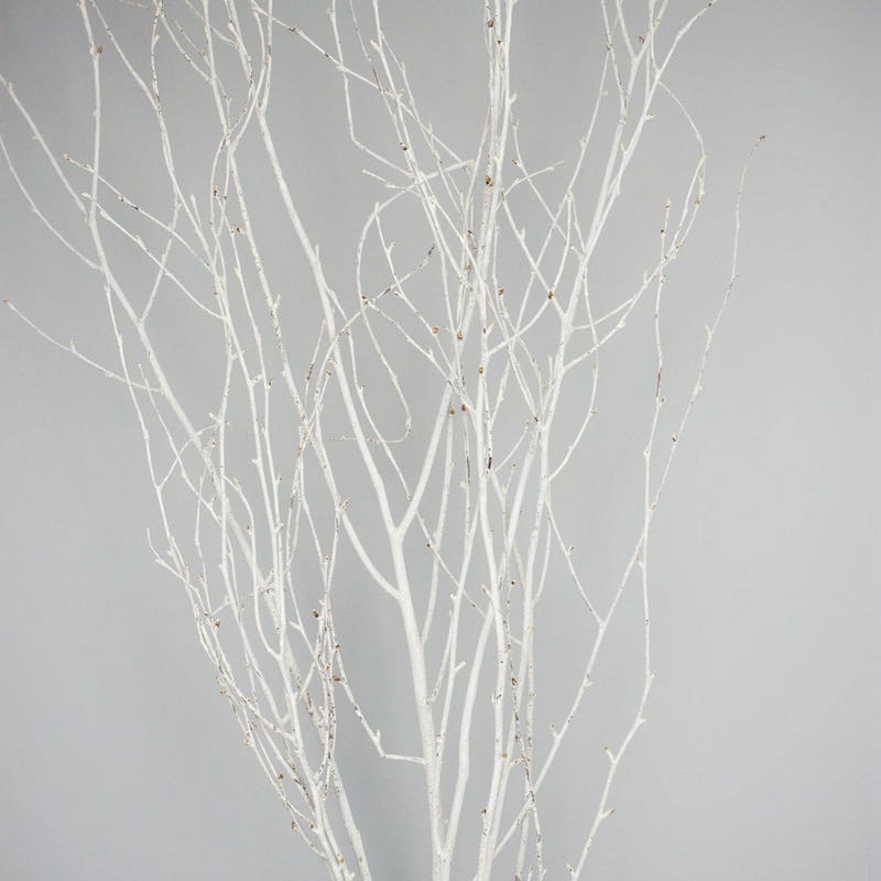 White Birch Branches - Etsy