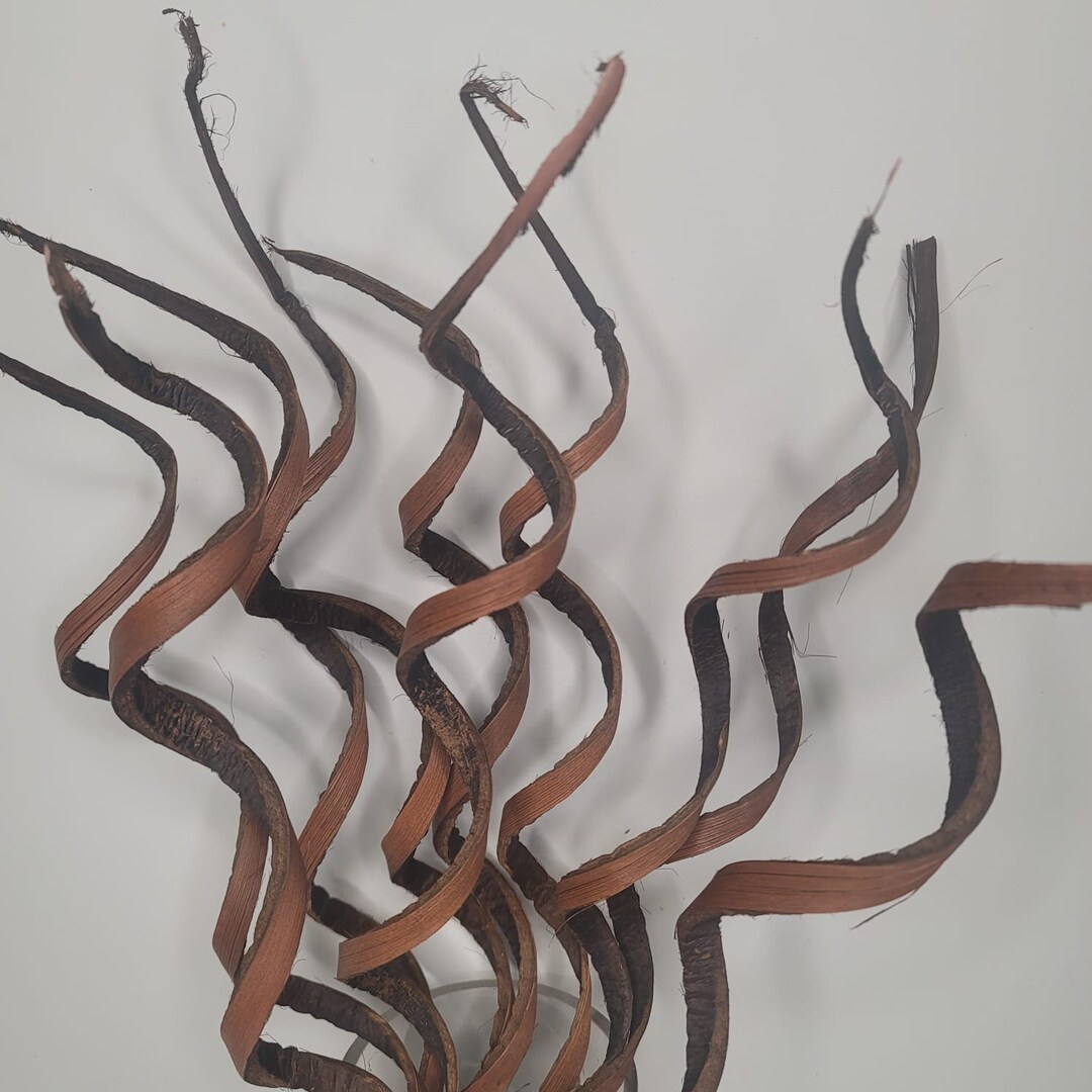 28" -10pc BROWN Curly Coco Twigs/branches/centerpiece Decor/winter ...