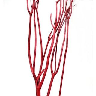 VallariDecor - Etsy Canada