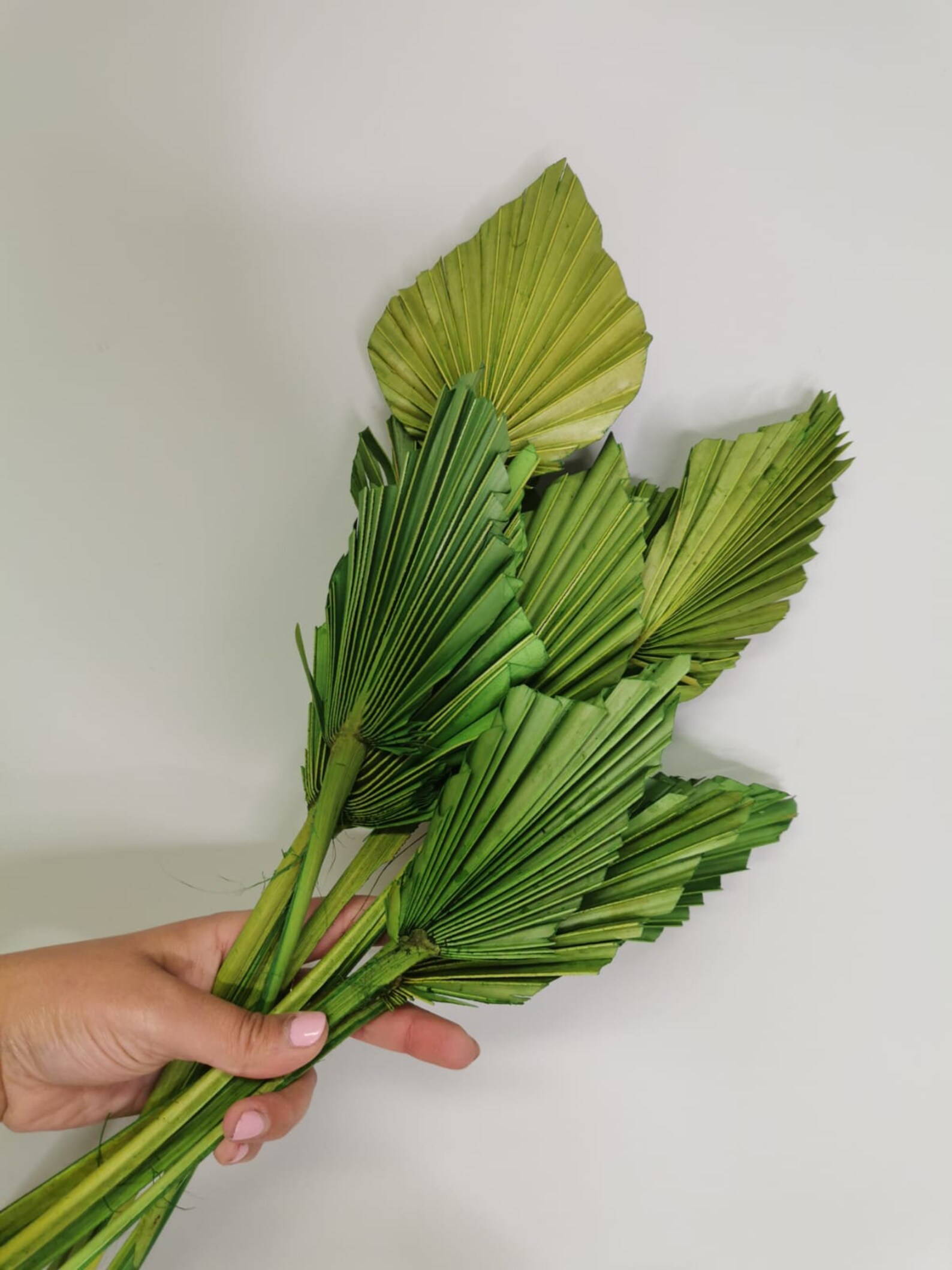 8pc PALM Spears/grey/ivory Palm /green Palm /brown Palm/ Home - Etsy