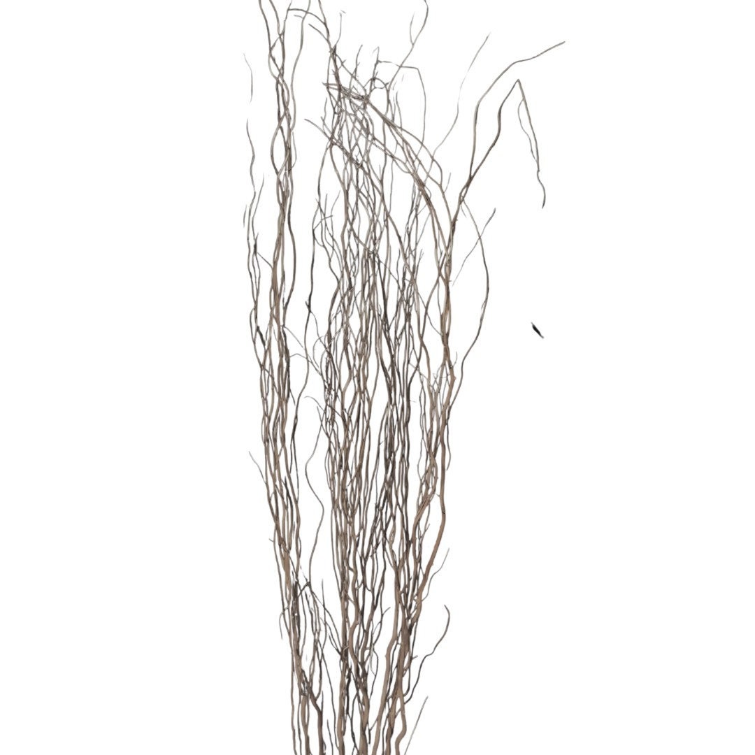 Taupe Willow Natural Branch/curly Twigs/branches/centerpiece Decor ...