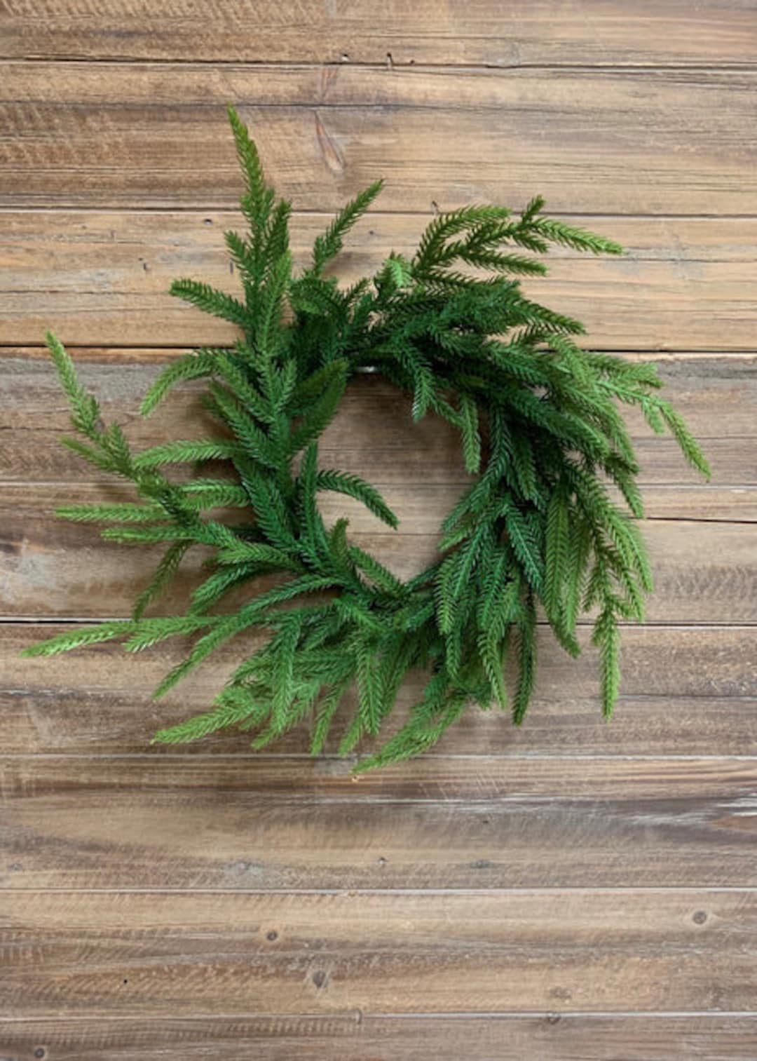 16" Fresh Touch Norfolk Pine Wreath/green Artificial Wreath/green ...