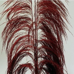 5FT - 3pc Natural UVA Stalk/pampas/natural Stalk/natural Branches ...