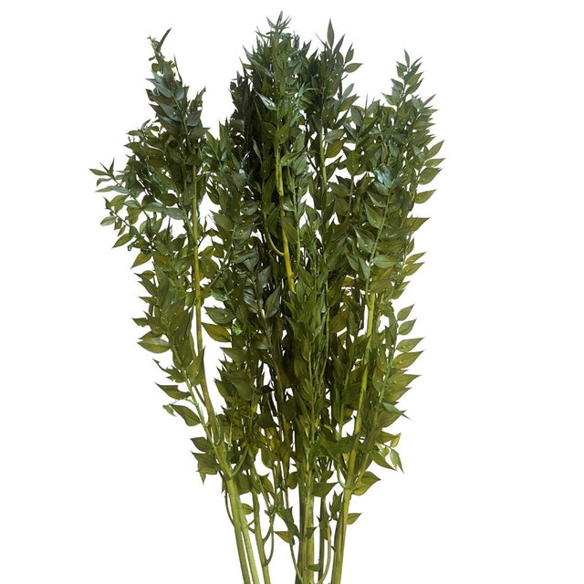 VallariDecor - Etsy Canada