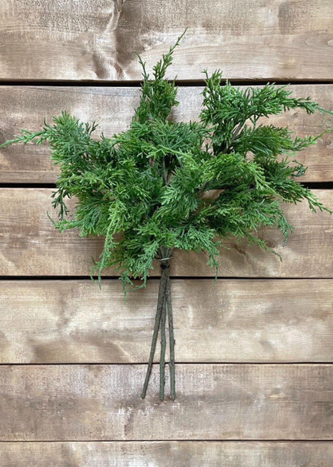 21" Fresh Touch Northern White Cedar Bundle/sprays/fall Sprays/red ...