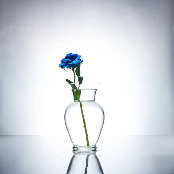 Single Blue Rose Flower