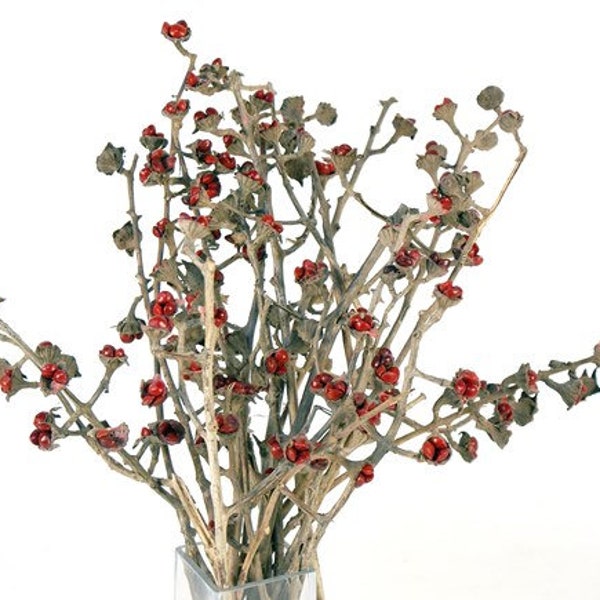 Decorative Sticks - Etsy