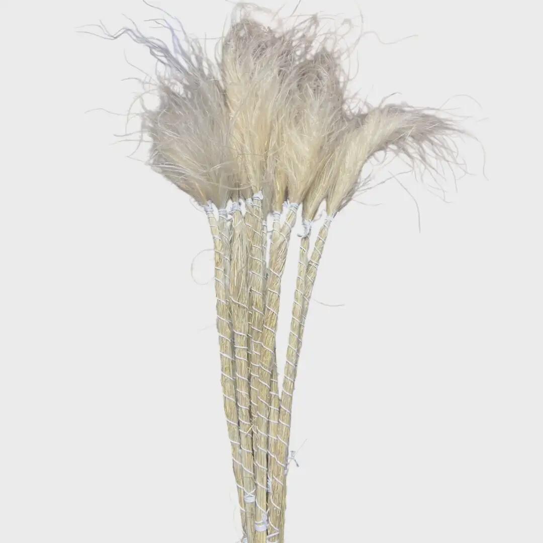 26" Stipa Pennata Tuffs Large Grass/branches/centerpiece Decor/ Winter ...
