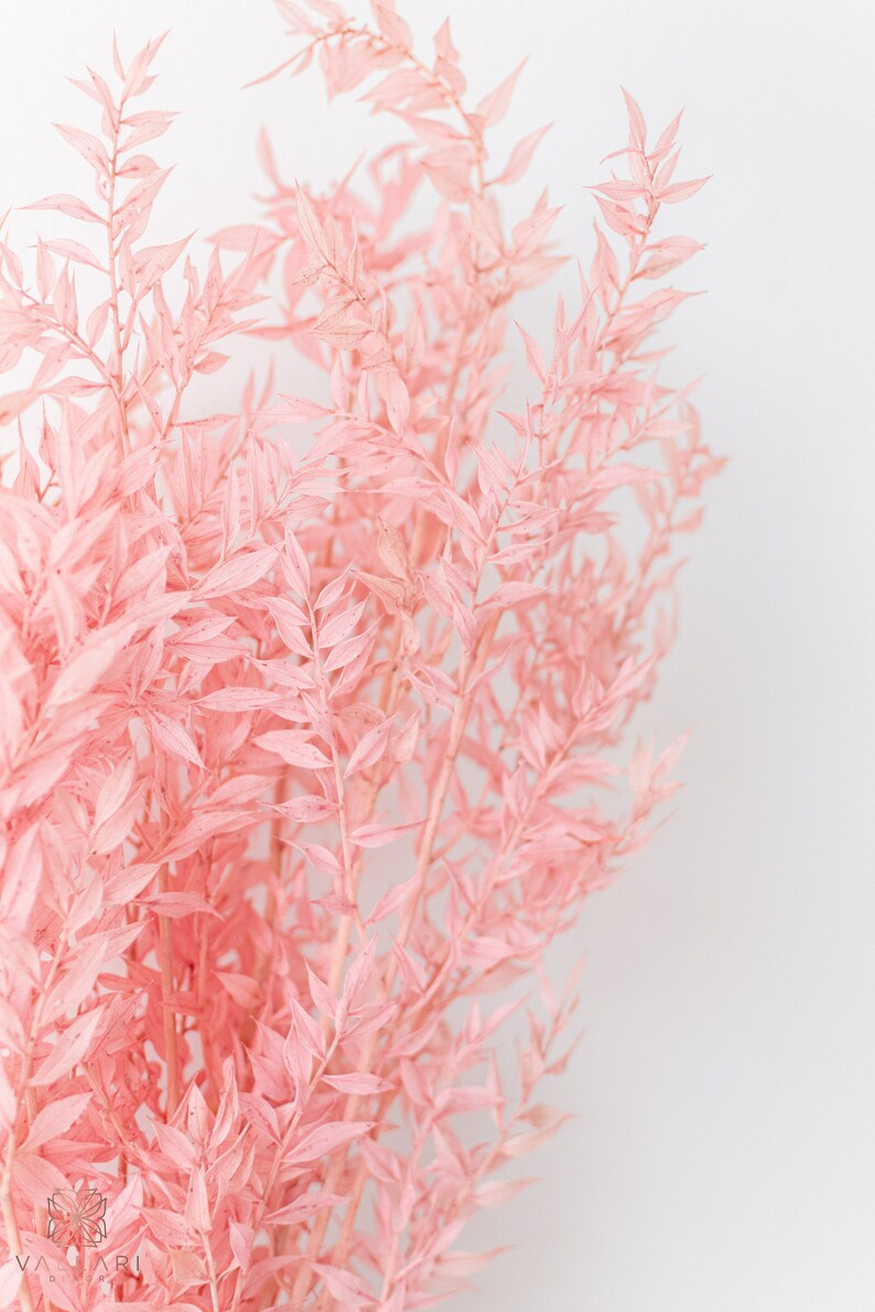 30 Mini BLEACHED RUSCUS VASE Decor/filler Decor/faux | Etsy