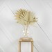 SUN PALM 1-6pc - 10-16"dried SUN Natural Palm Spears/ Natural/gold ...